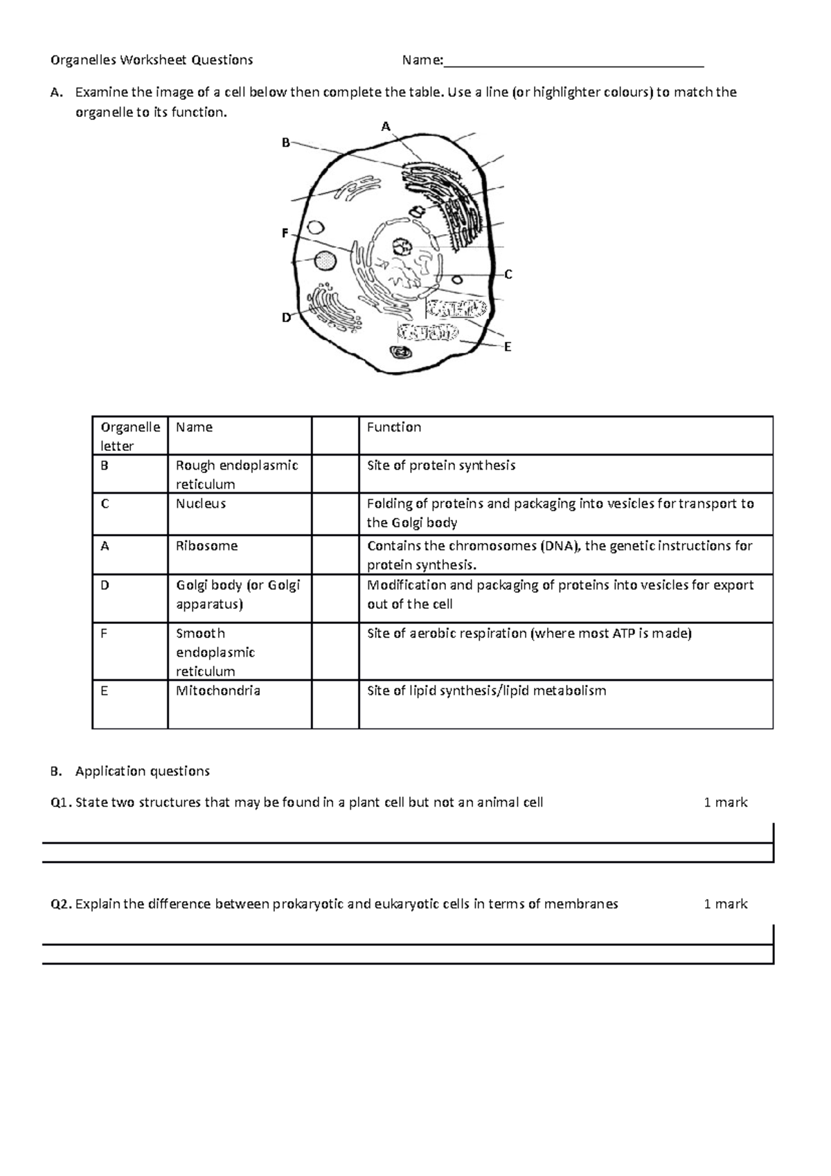 Organelle functions - orgnalles functiojns - Organelles Worksheet ...