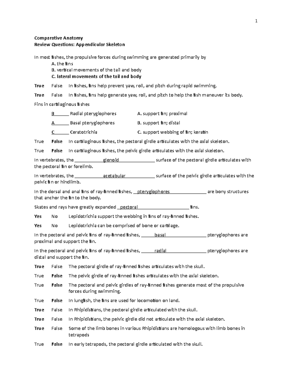 07 Appendicular Skeleton Key - Comparative Anatomy Review Questions ...