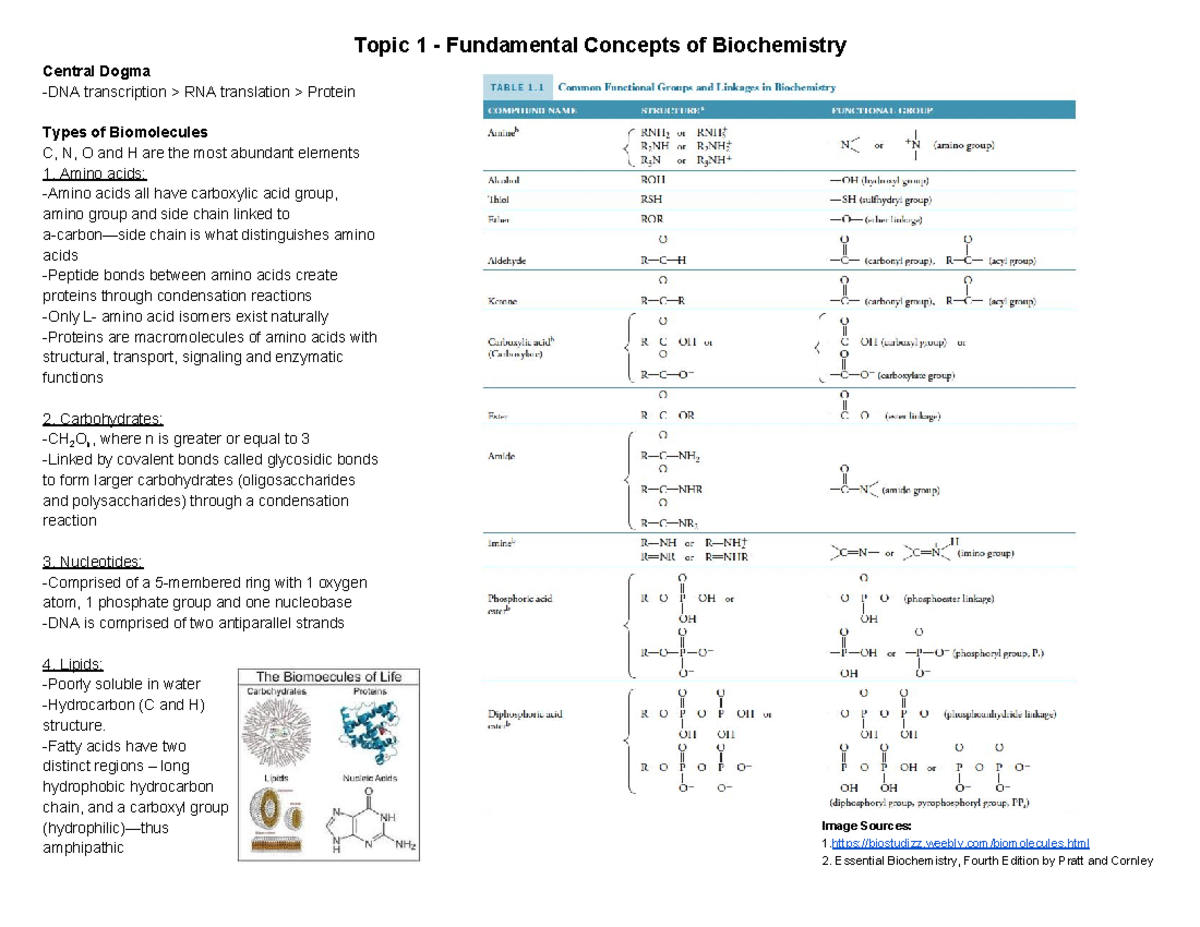 2. KEY Point Notes - Topic 1 - Fundamental Concepts of Biochemistry ...