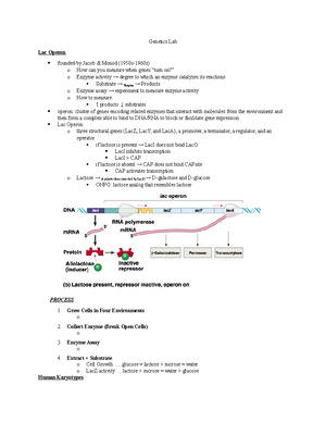 Nys making connections lab activity - CSAD 112 - Sacramento State - Studocu