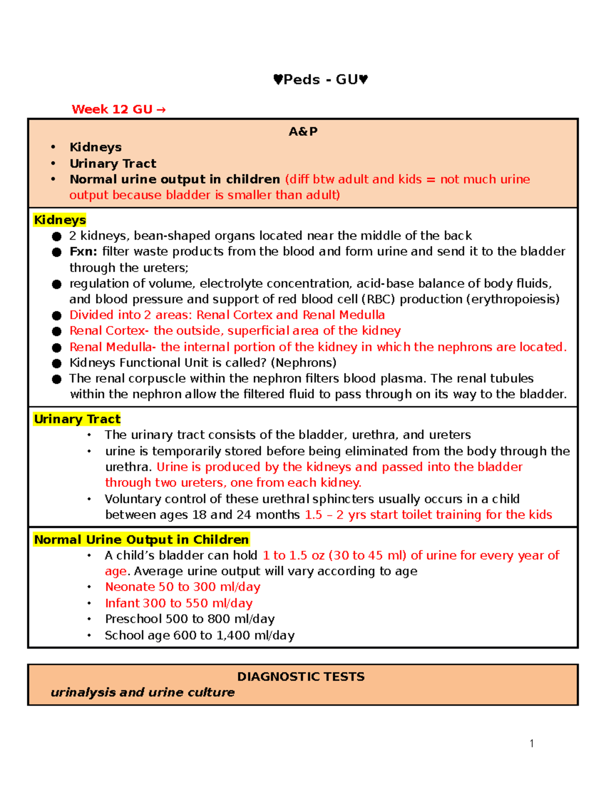 Peds - urinary system - Peds - GU Week 12 GU → **A&P Kidneys Urinary ...