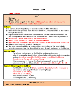 Peds - urinary system - Peds - GU Week 12 GU → **A&P Kidneys Urinary ...