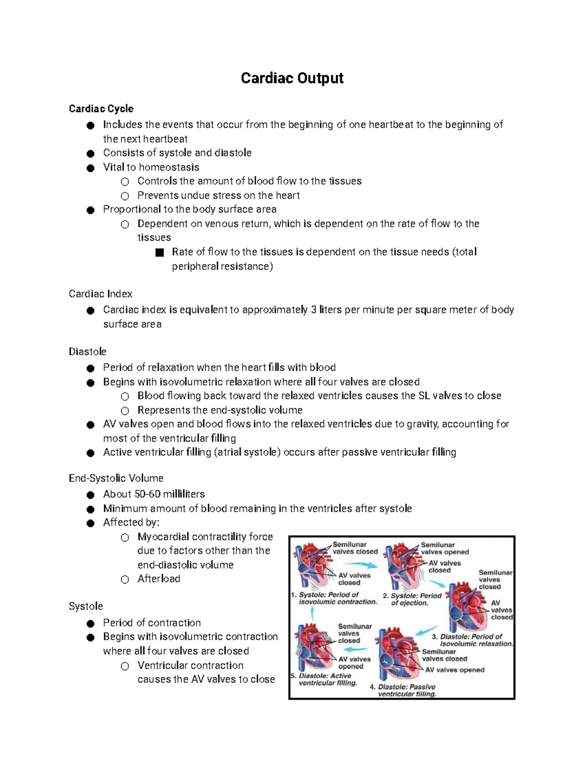 Patho - Cardiac Output - Cardiac Output Cardiac Cycle Includes the ...