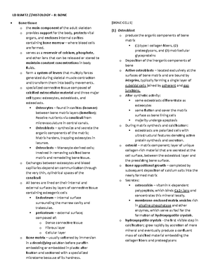 Histology - Chapter 18 - LD–BSMT2B // HISTOLOGY – 18: Skin ...