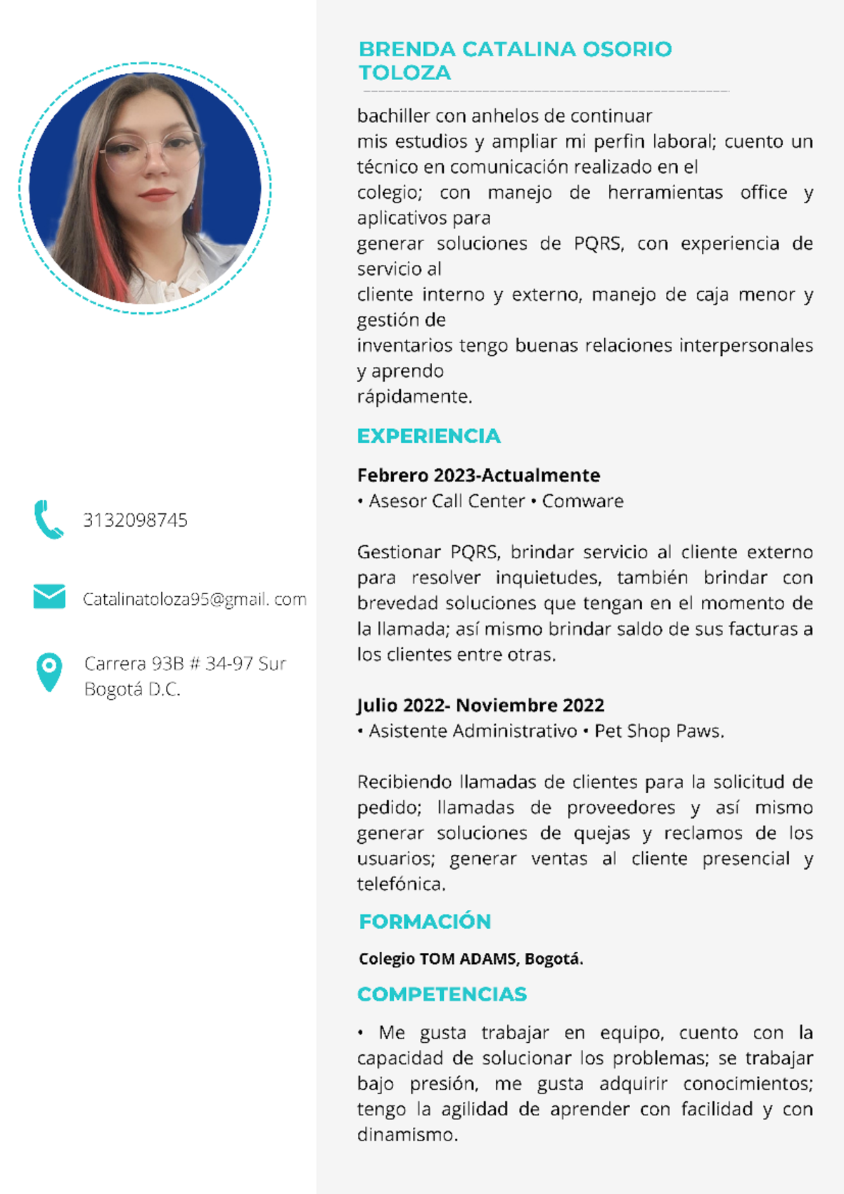 Curriculum Vitae Hoja de Vida CV Minimalista Azul y Gris - BRENDA ...