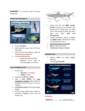 BIO 35 Unit 3 Lesson 8 - CHAPTER 8 | The Nature of Water WATER’S UNIQUE ...