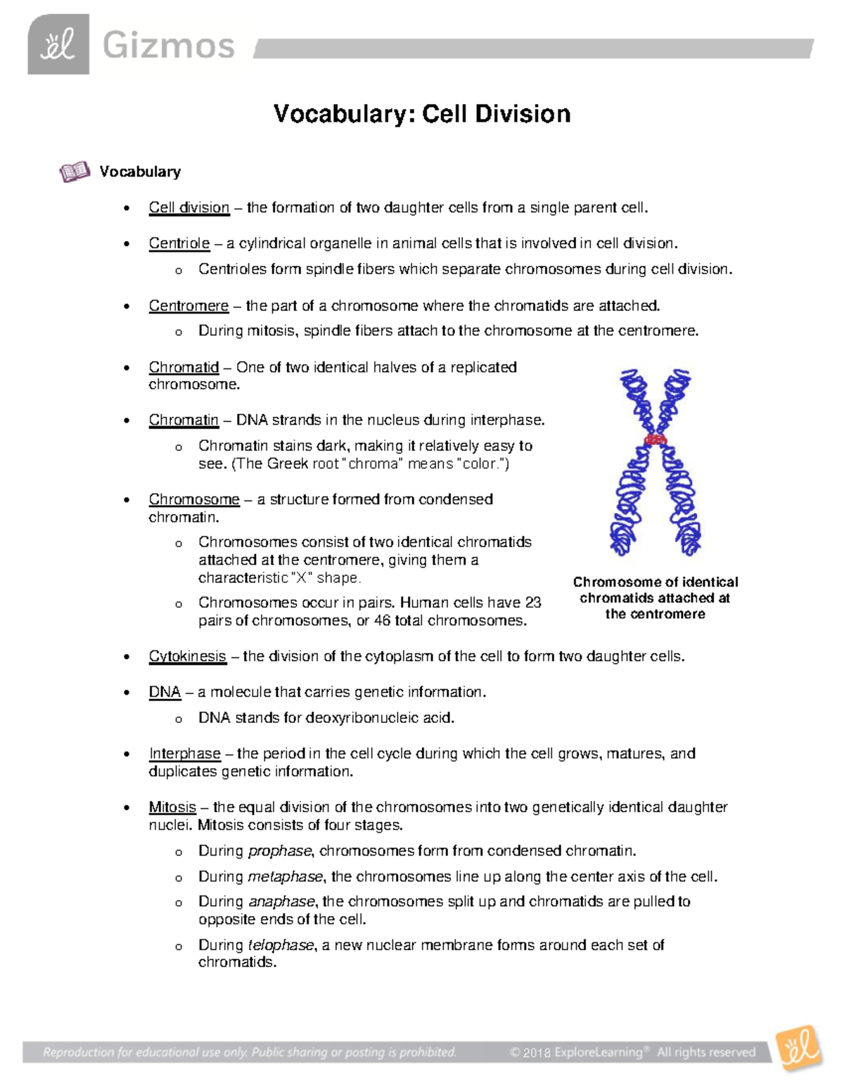 Cell Division Vocab - 2018 Vocabulary: Cell Division Vocabulary Cell ...