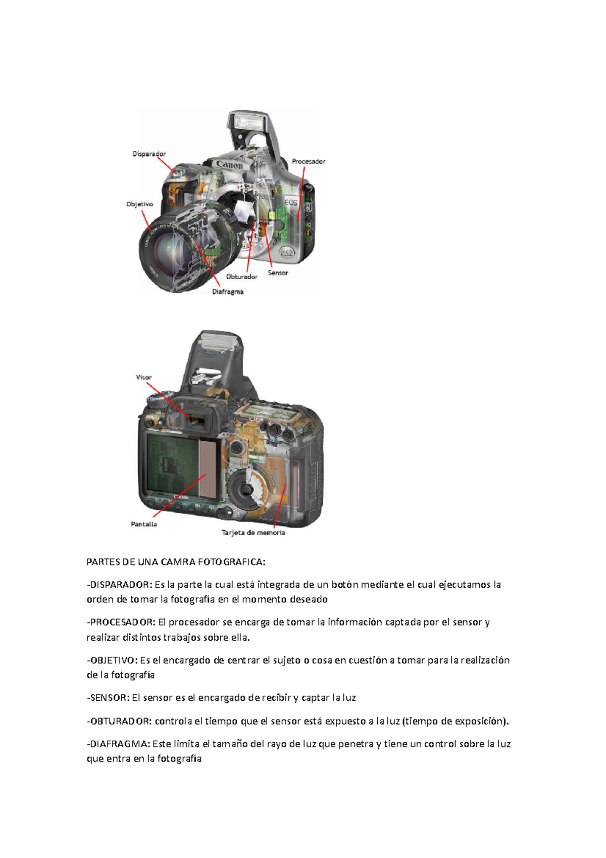 Partes DE UNA Camra Fotografica - PARTES DE UNA CAMRA FOTOGRAFICA ...