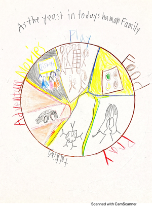 Lesson 9-15 (HIS) - tgyhgh - Lesson 9 Healthcare - crucial part of our ...