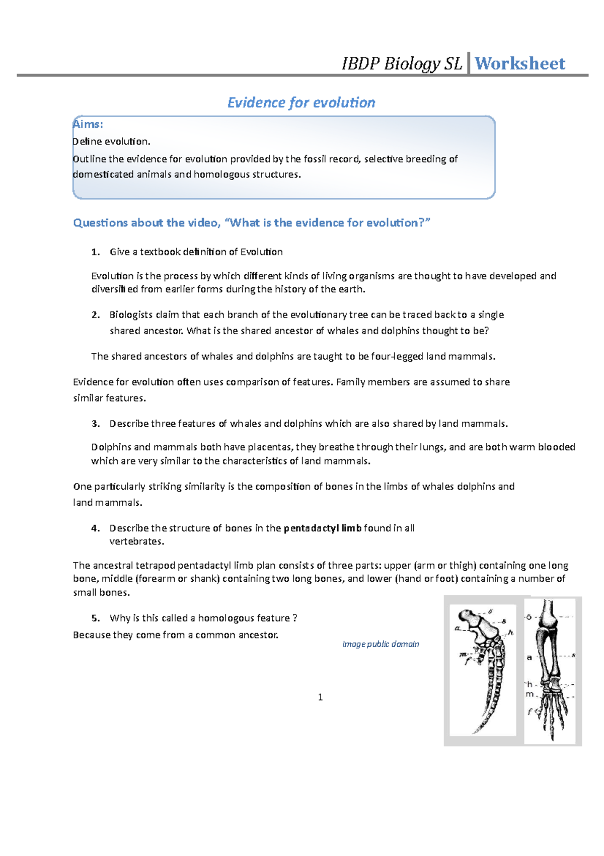 1 - Biology - IBDP Biology SL Worksheet Evidence for evolution ...