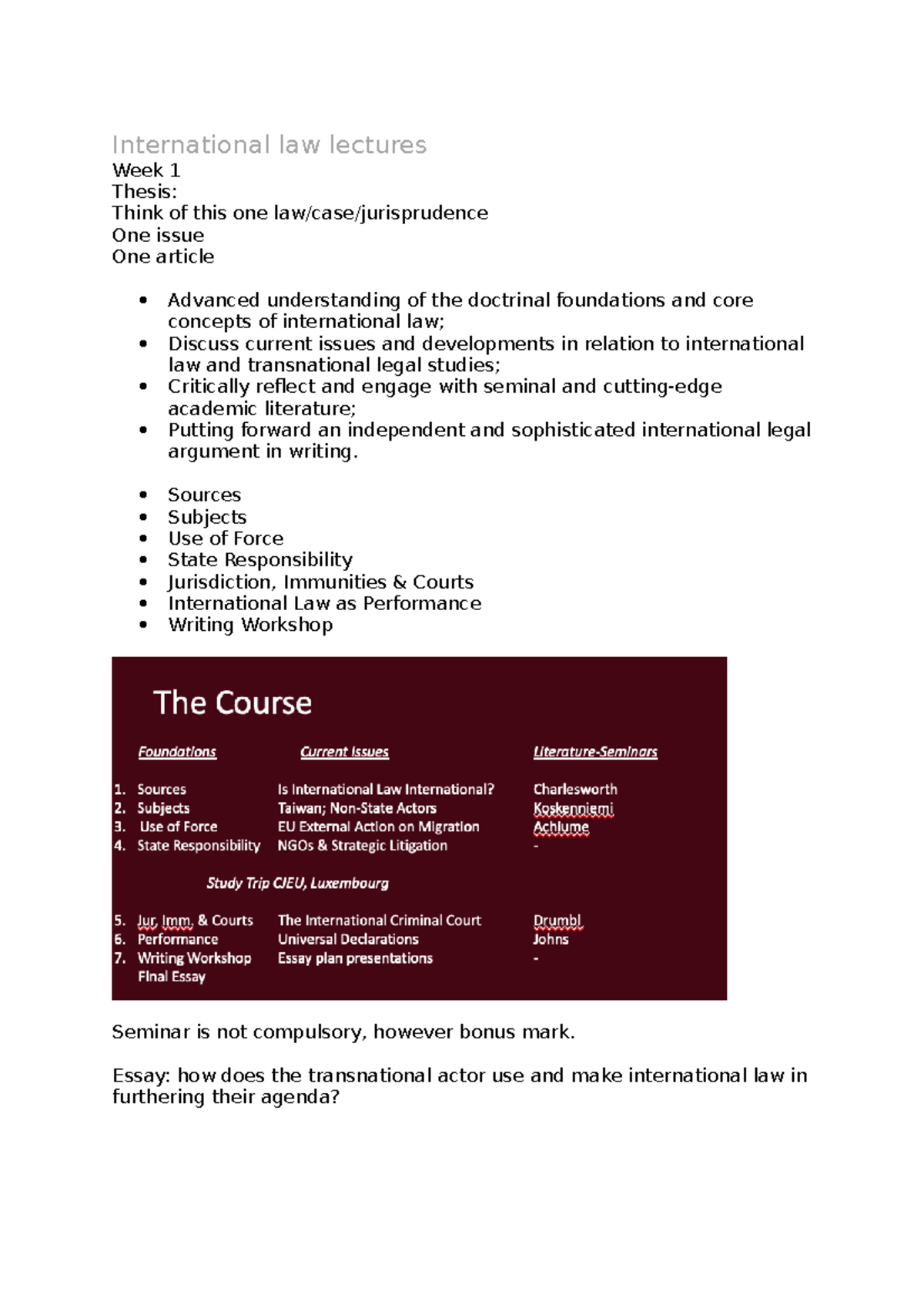 International law lectures - Sources Subjects Use of Force State Responsibility - Studeersnel