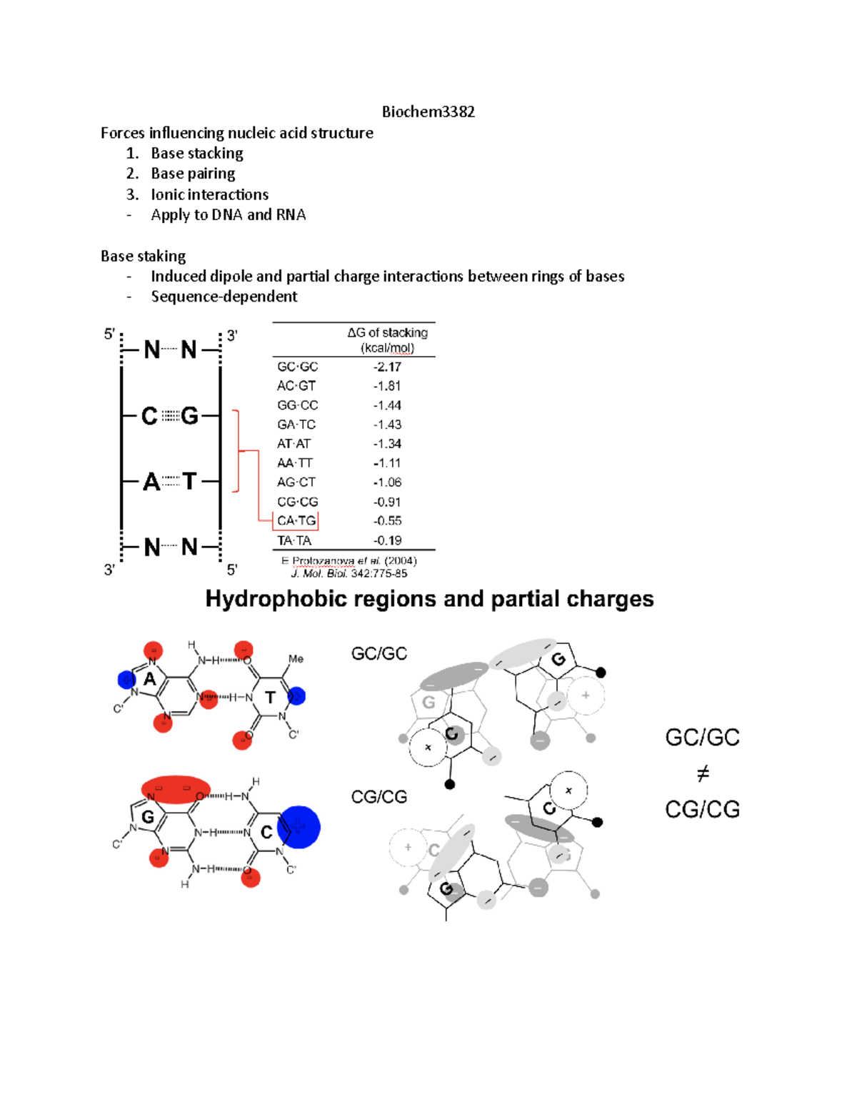 Biochem 3382 - Notes from McLachlin's lecture - Biochem Forces ...