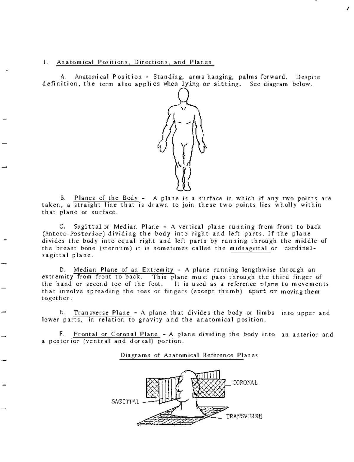 UCLA-01 - / I. Anatomical Positions, Directions, and Planes A. Anatomi ...