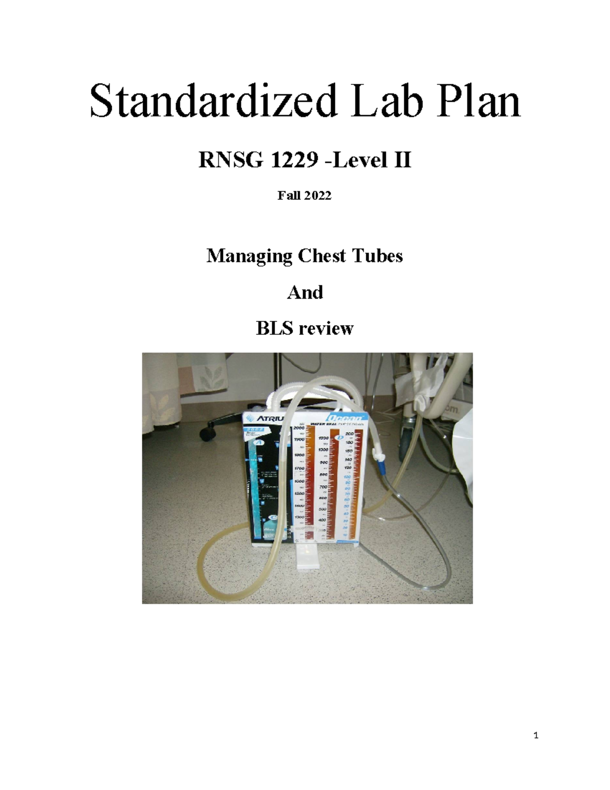 Chest Tubes BLS Review Fall 2022 - Standardized Lab Plan RNSG 1229 ...