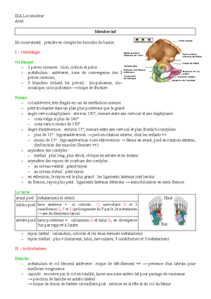 Anatomie cours présentation - Anatomie: Système nerveux central ou ...