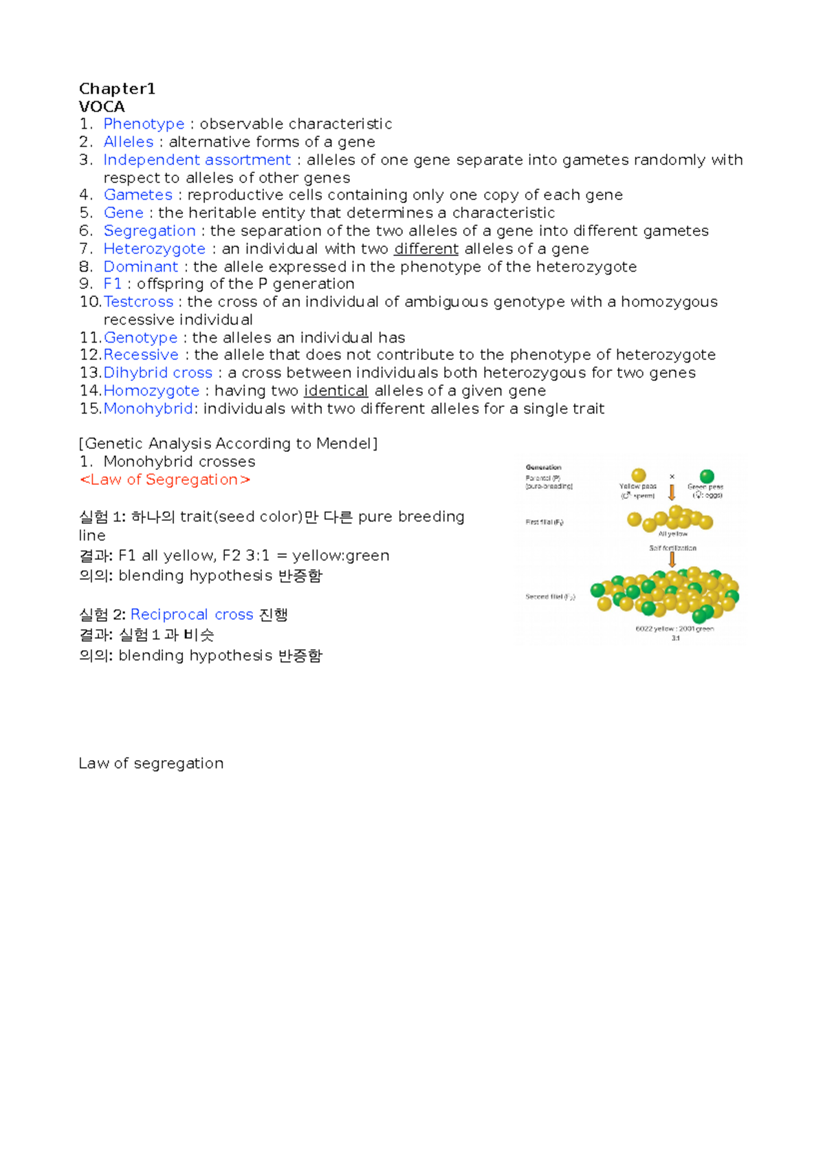 Genetics - Summary - Chapter VOCA Phenotype : observable characteristic ...