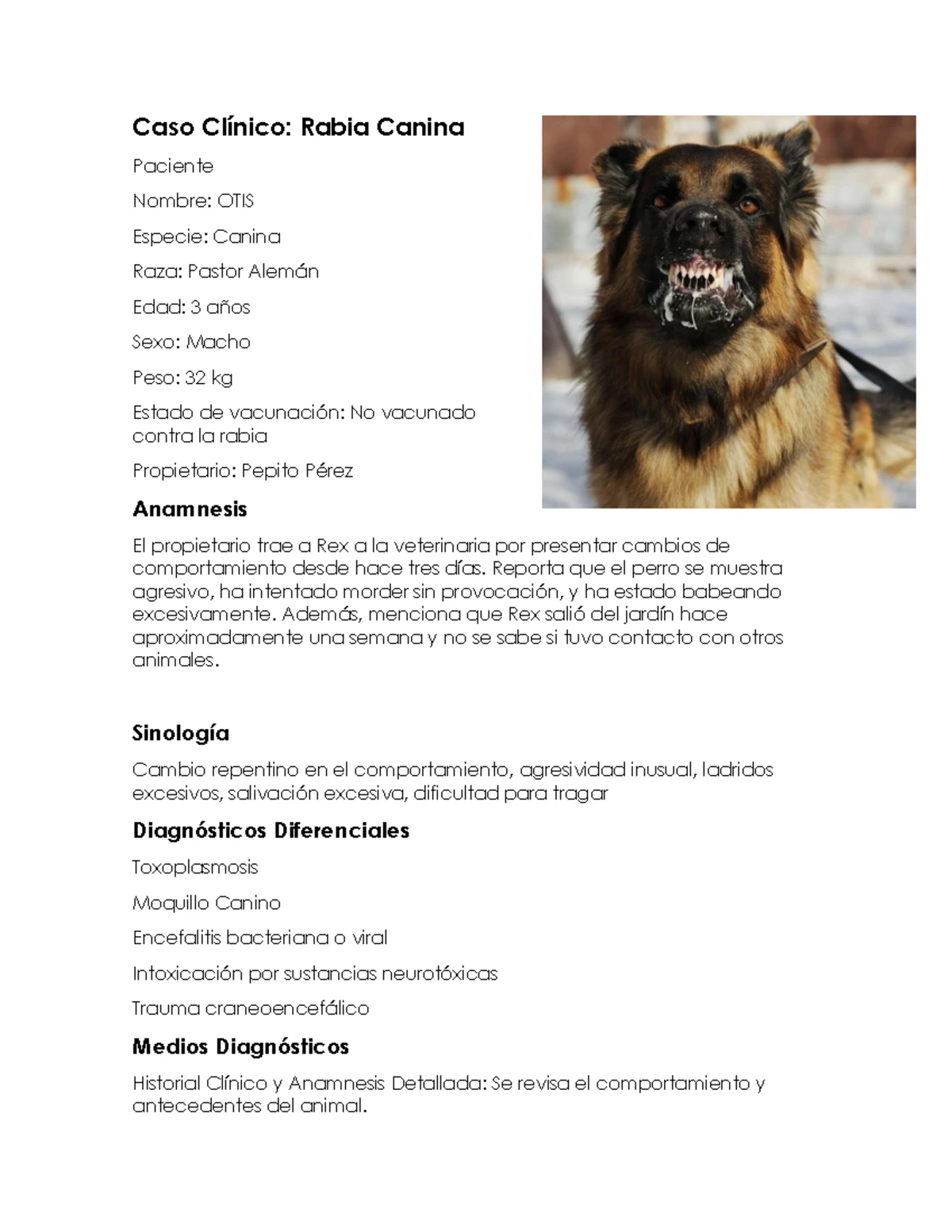 Ehrlichiosis Canina - apuntes - Ehrlichiosis Canina Nombre: Mia Especie ...