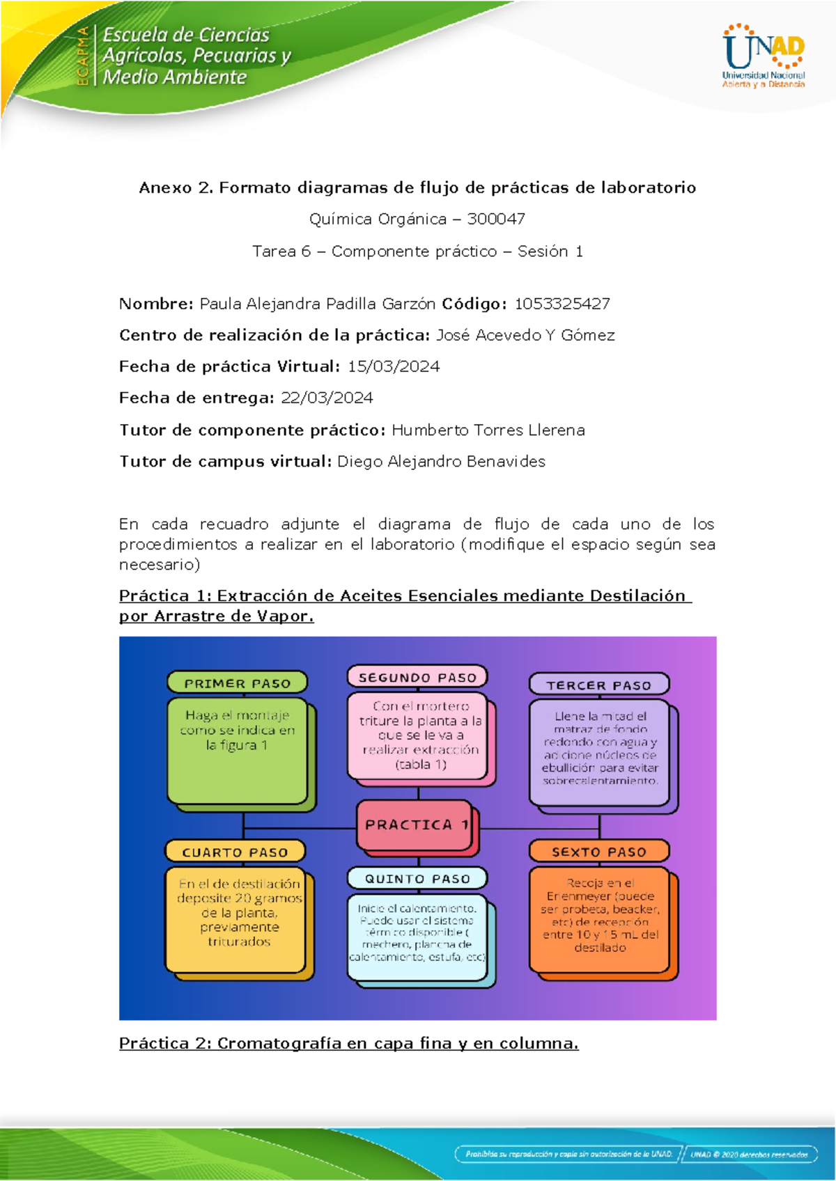 Anexo 2 - Diagramas de flujo práctica Química Orgánica ( Ecapma ...