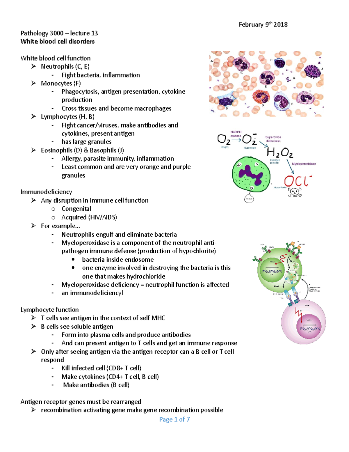 Pathology 3000 – lecture 13 - Pathology 3000 – lecture 13 White blood ...