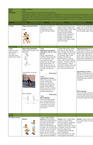 Øktplan Styrke - ,,, - ØKT PLAN EGENTRENING STYRKE Navn: Malin Mål ...
