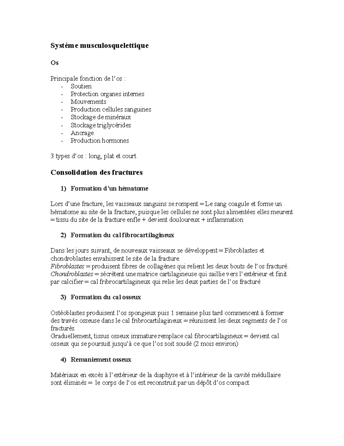 Système musculosquelettique APP 2 (Mme Delarochelière) - Système ...