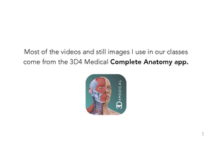 MSK week 1 notes - MSK 1 Bones of the foot Digits 1- Phalanges - Distal ...