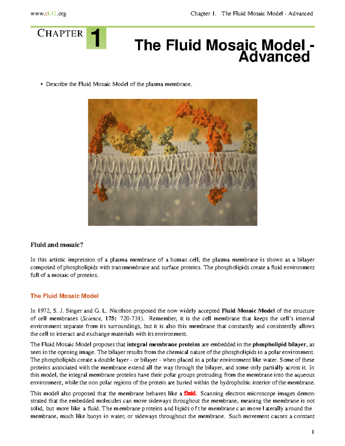 Chapter 4 - Cell Membrane descriptions and diagram explanations, with ...