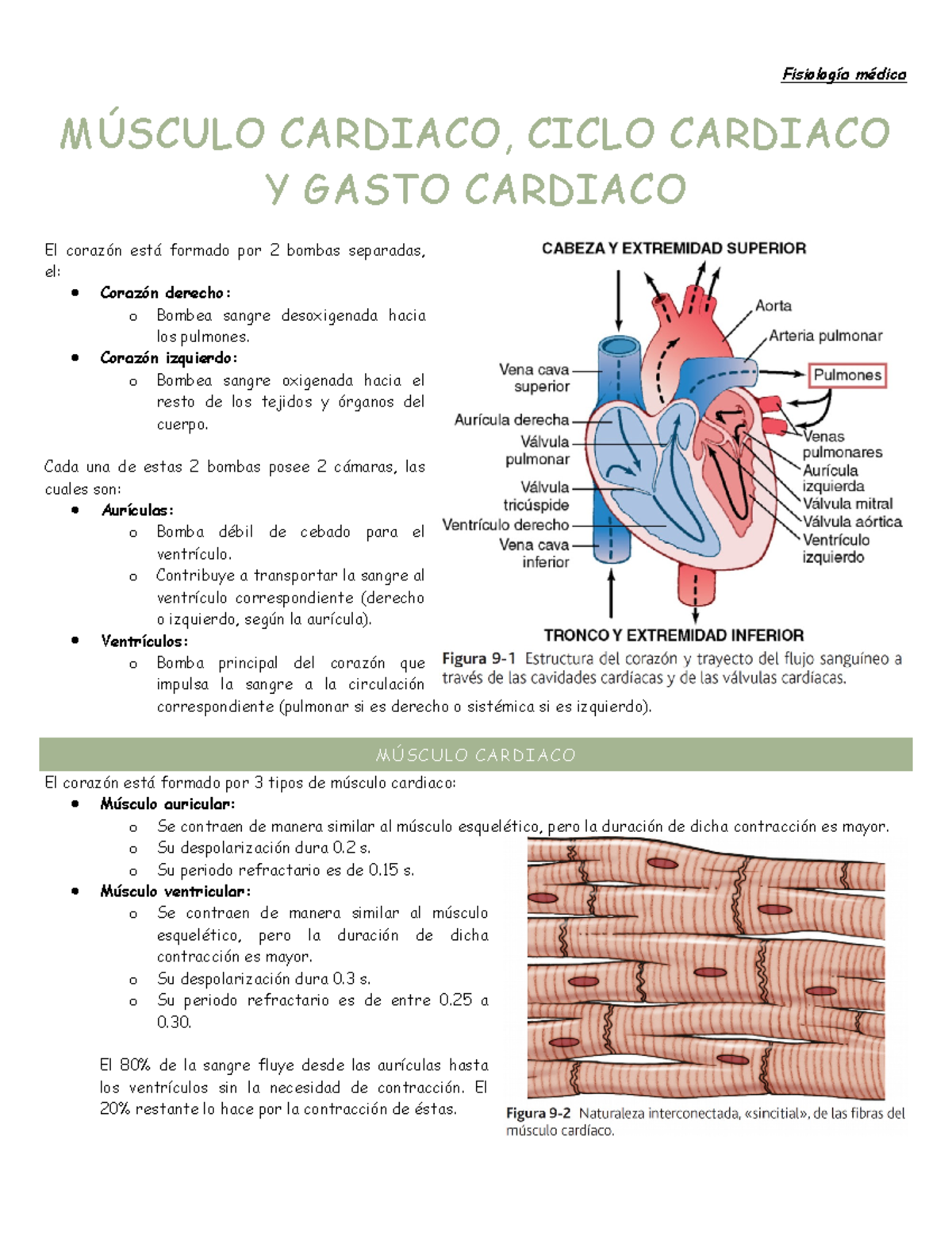 Fisiologia Cardiaca