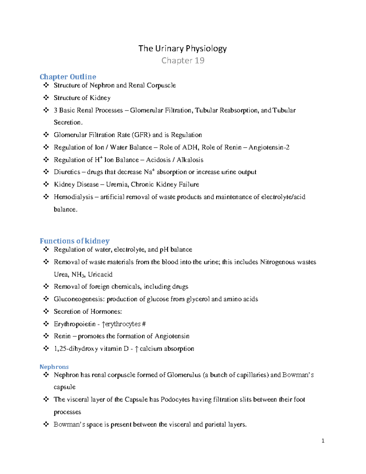 The Urinary Physiology - The Urinary Physiology Chapter 19 Chapter ...