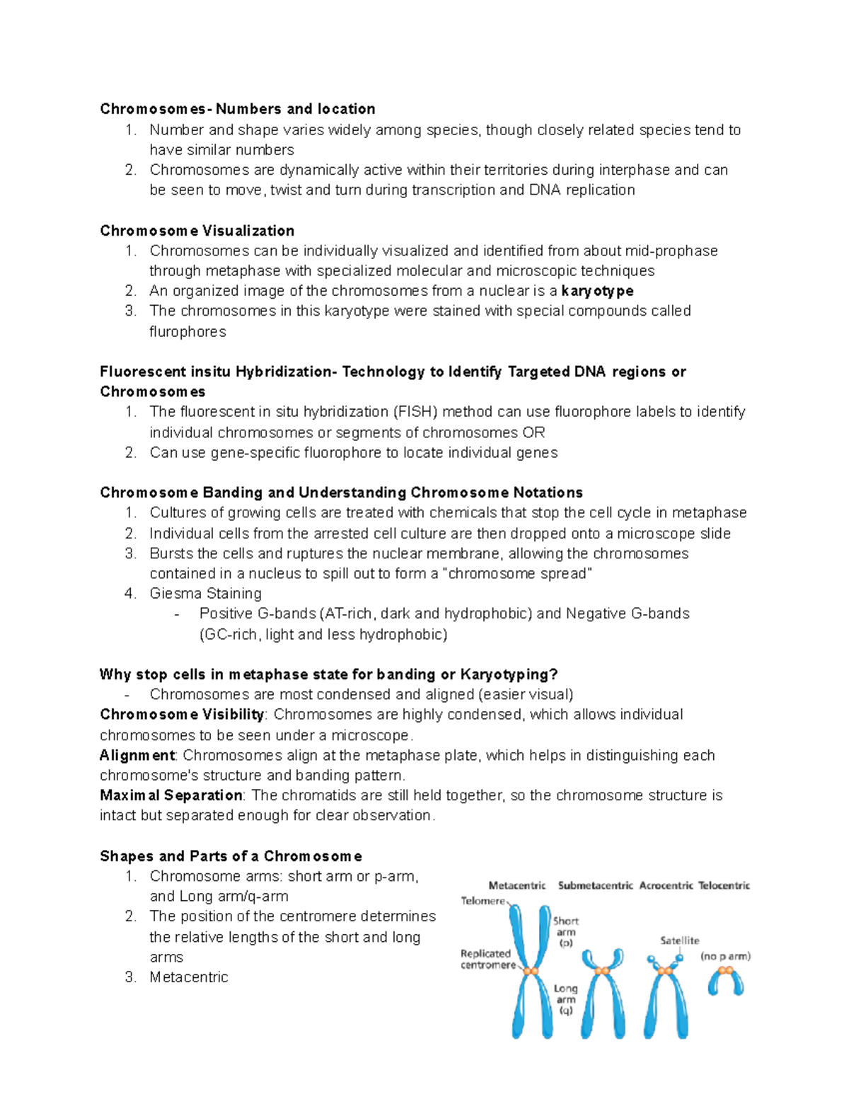 Week 7 Lectures Genetics - Chromosomes- Numbers and location 1. Number and shape varies widely ...