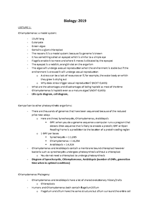 BIO 1002B Cycle Summary - CYCLE 01: CHLAMYDOMONAS AND HOW IT USES LIGHT ...