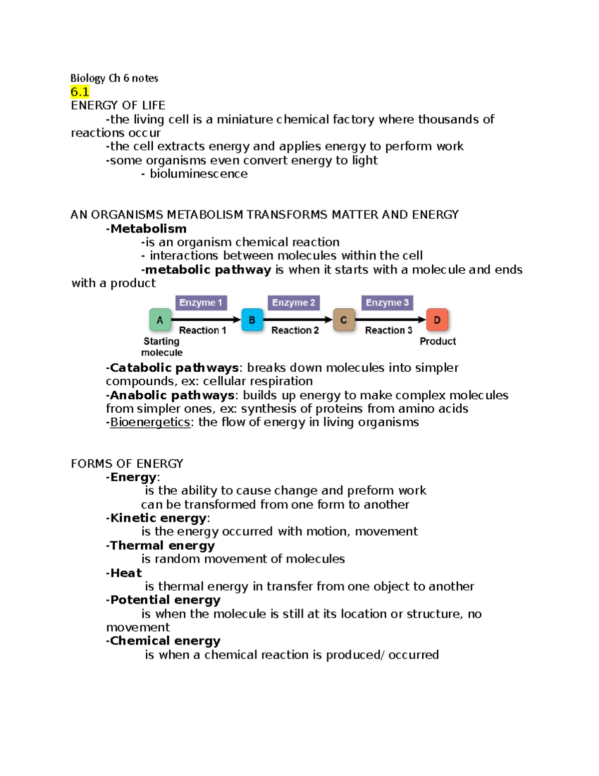General Biology Ch 6 notes - Biology Ch 6 notes 6. ENERGY OF LIFE -the ...