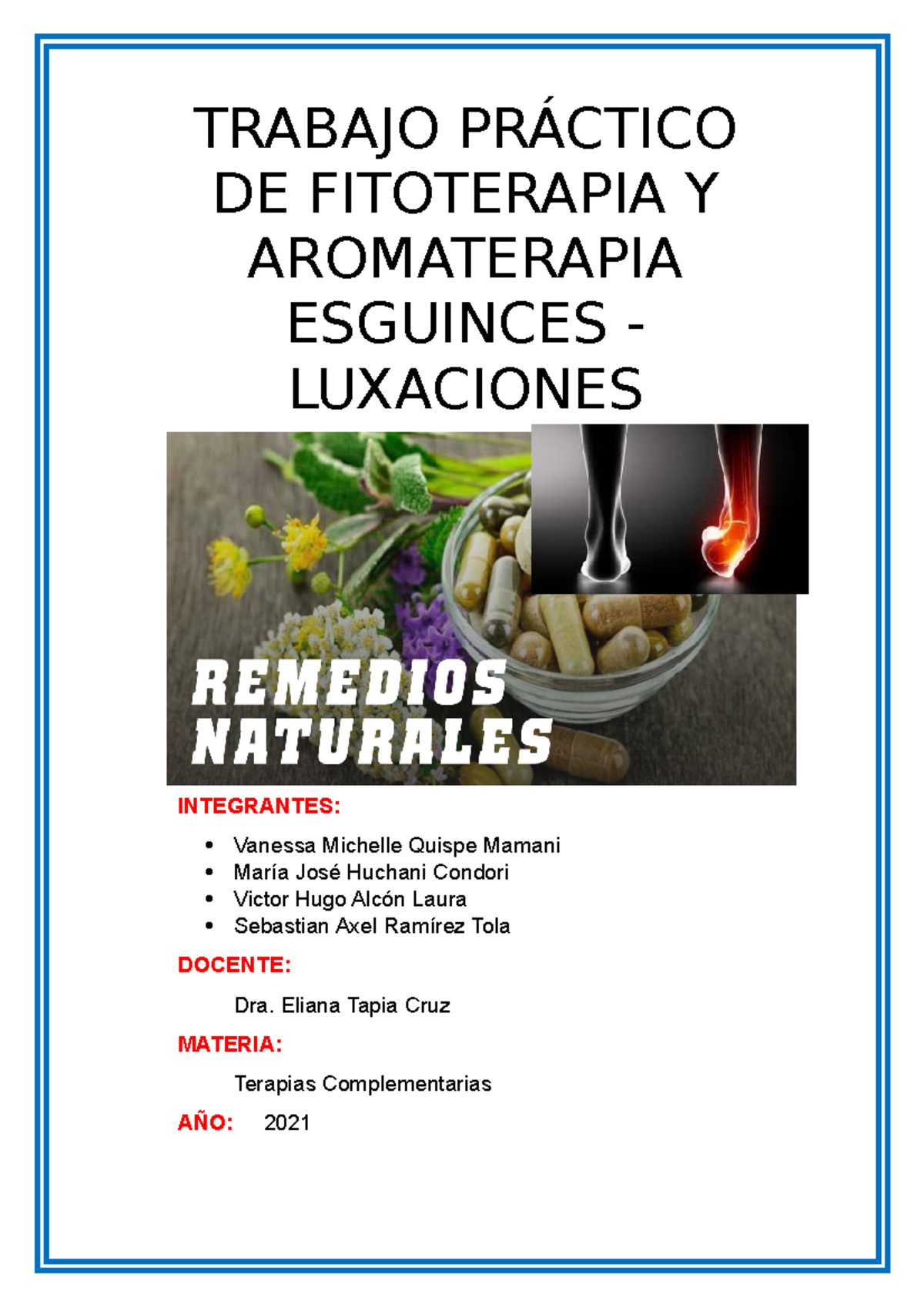Trabajo Práctico Y Investigación DE Fitoterapia - INTEGRANTES: Vanessa ...