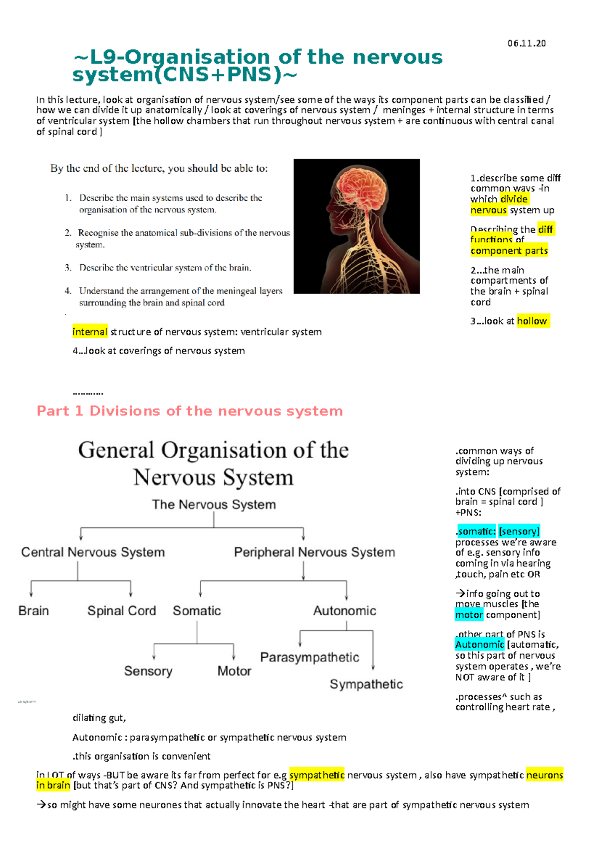 L9 Organisation of CNS and PNS - ~L9-Organisation of the nervous system ...