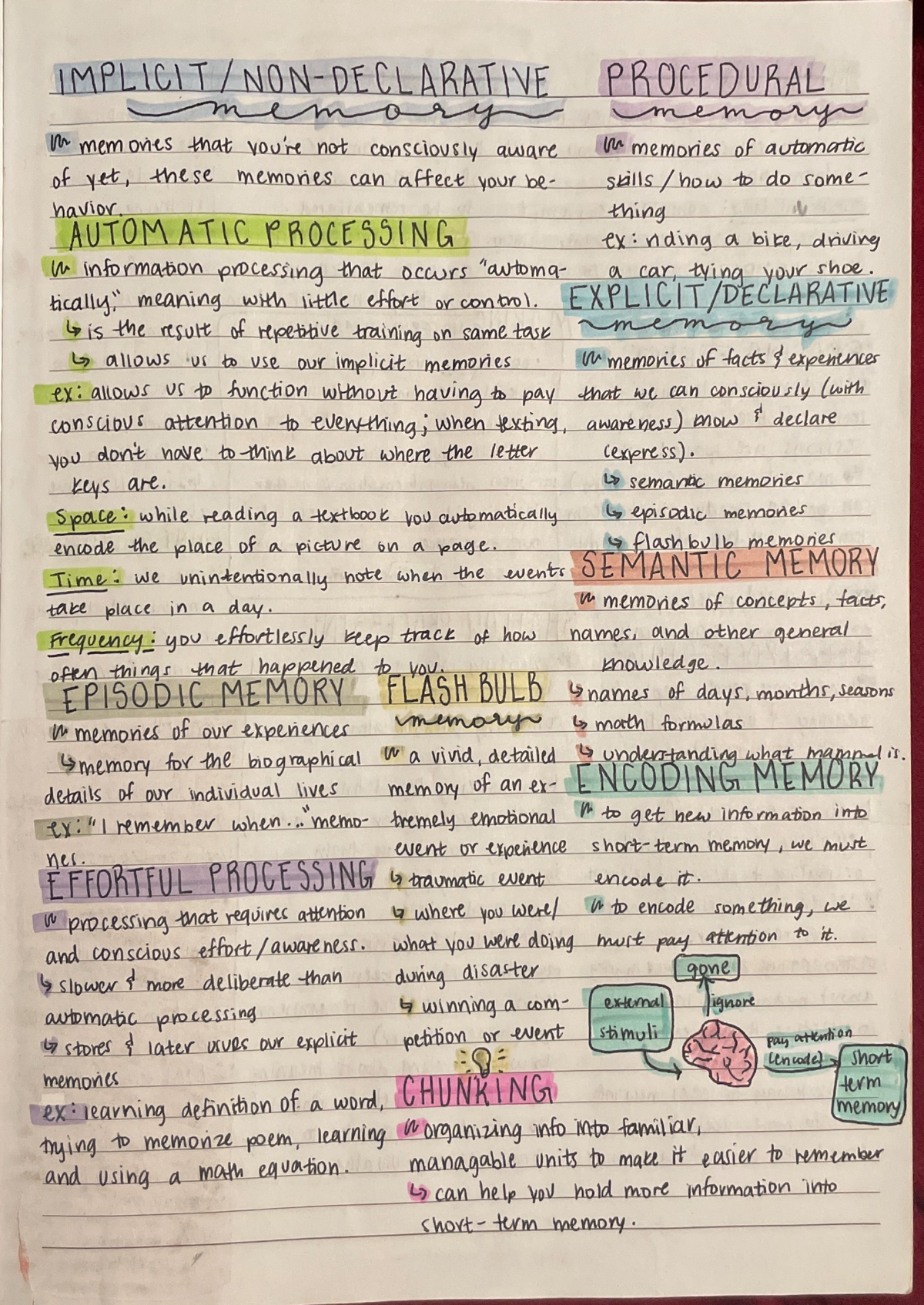 Note47 - Cute, colorful, and informational notes about psychology taken ...