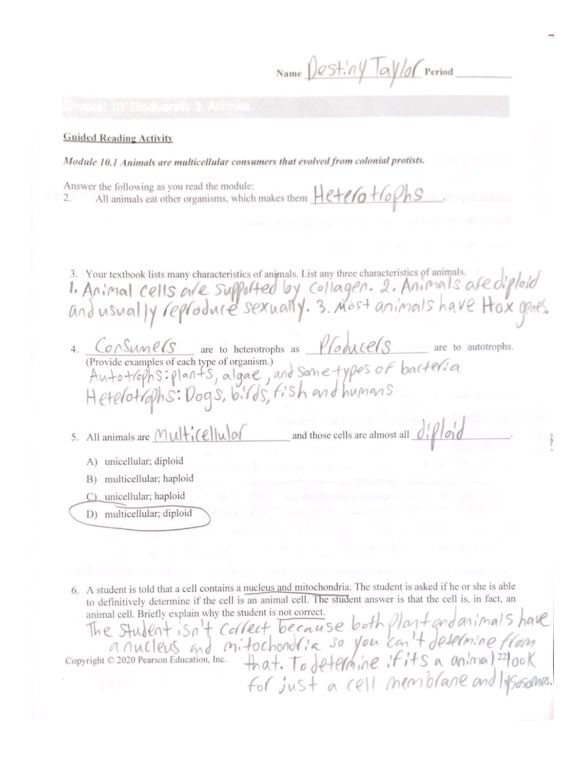 Chapter 10 Biodiversity 3 Animals - BIO1143 - Studocu