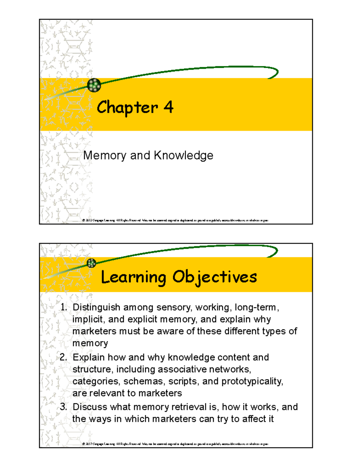 7 Memory and Knowledge - Profesor Ruiz Jimenez - © 2013 Cengage ...