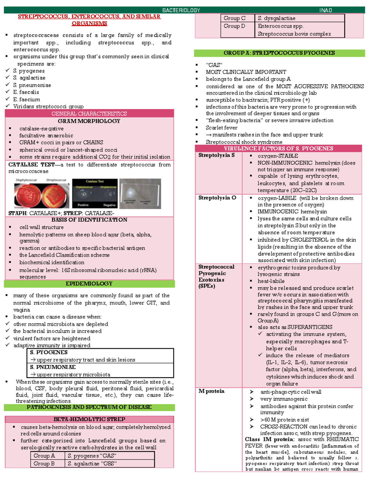 Streptococcus - STREPTOCOCCUS, ENTEROCOCCUS, AND SIMILAR ORGANISMS ...