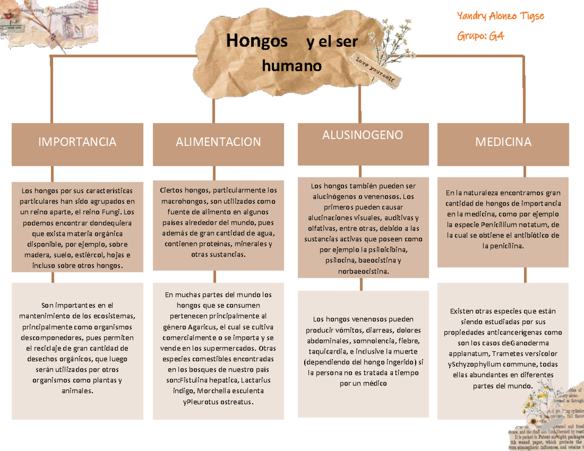 LA Relación DE LOS Hongos Y LA VIDA DEL Hombre. - Hongos y el ser ...