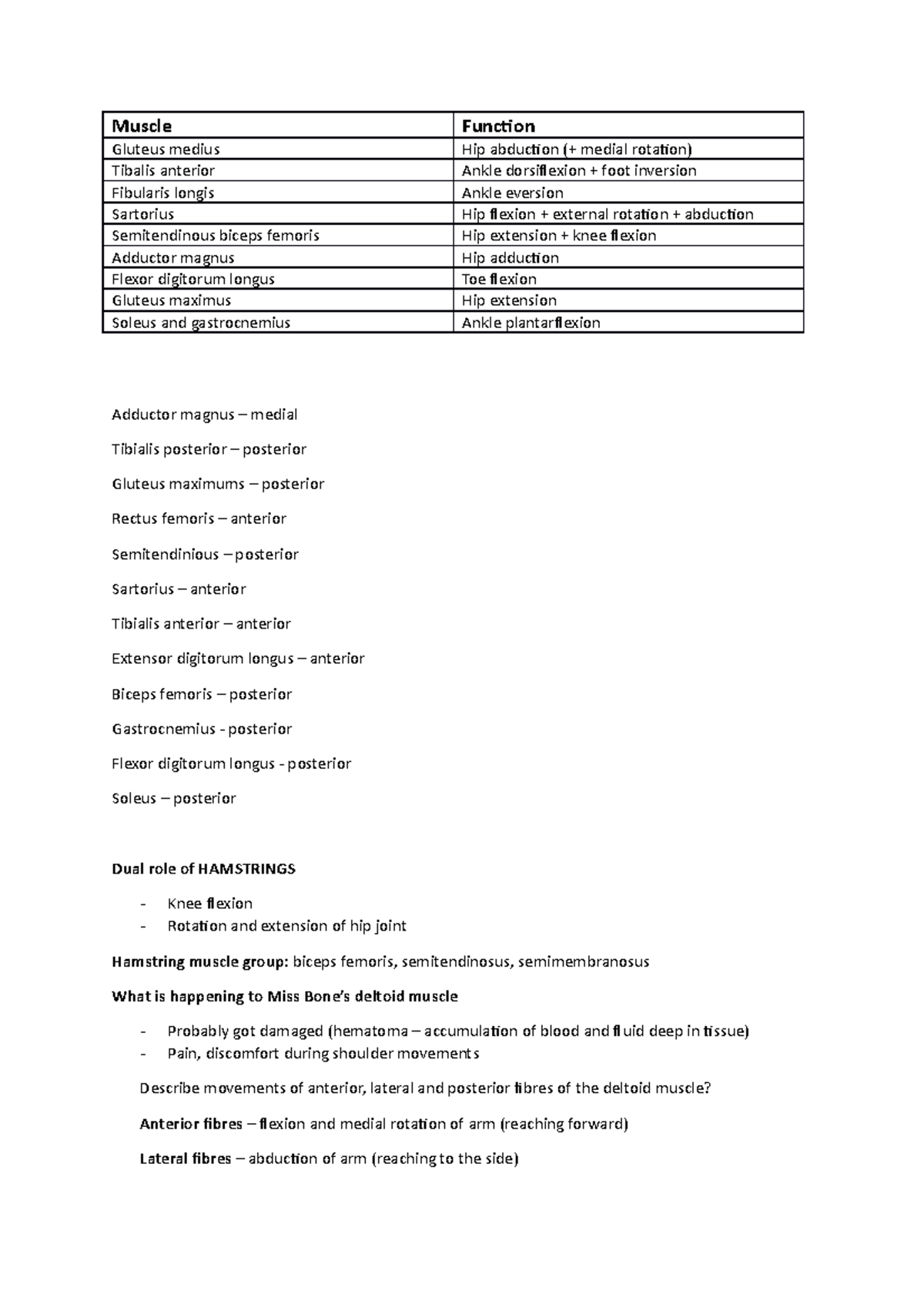 Hamstrings and other leg muscles - Muscle Function Gluteus medius Hip ...
