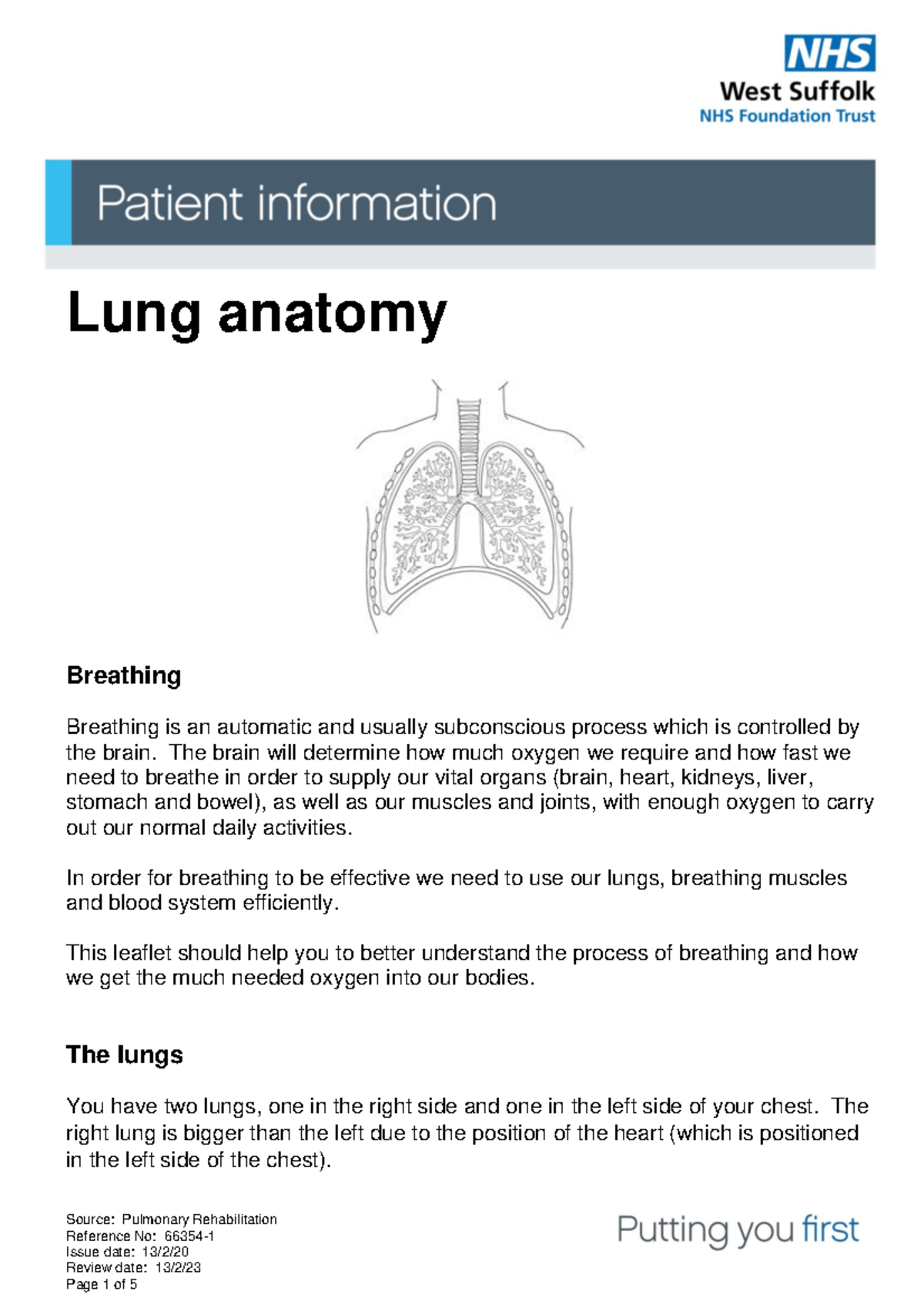 6354 1 Lung Anatomy - Anatomie van de longen - Source: Pulmonary ...