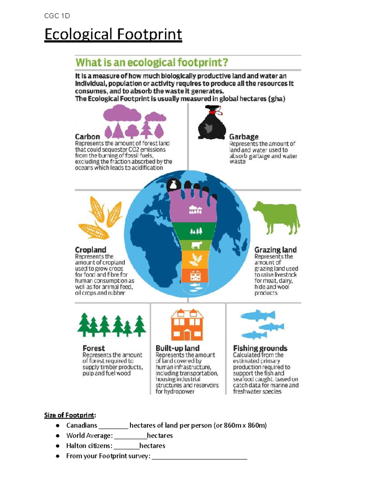 Austion Copy of Ecological Footprint Note - CGC 1D Ecological Footprint ...
