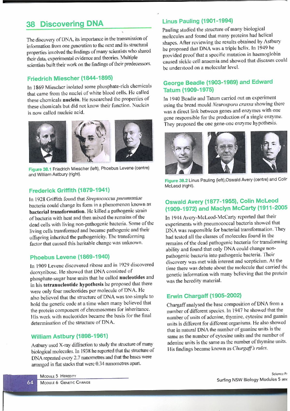 History of DNA - 38 Discovering DNA Linus Pauling Pauling studied the ...