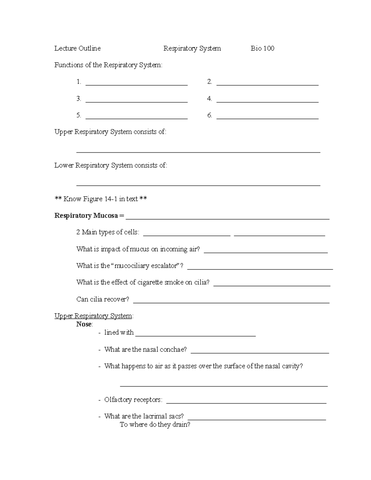 Lecture Outline Ch 15Respiratory System - Lecture Outline Respiratory ...