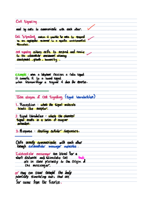 Lecture 1 anatomy - Helpful Notes - routside ofthebody important ...