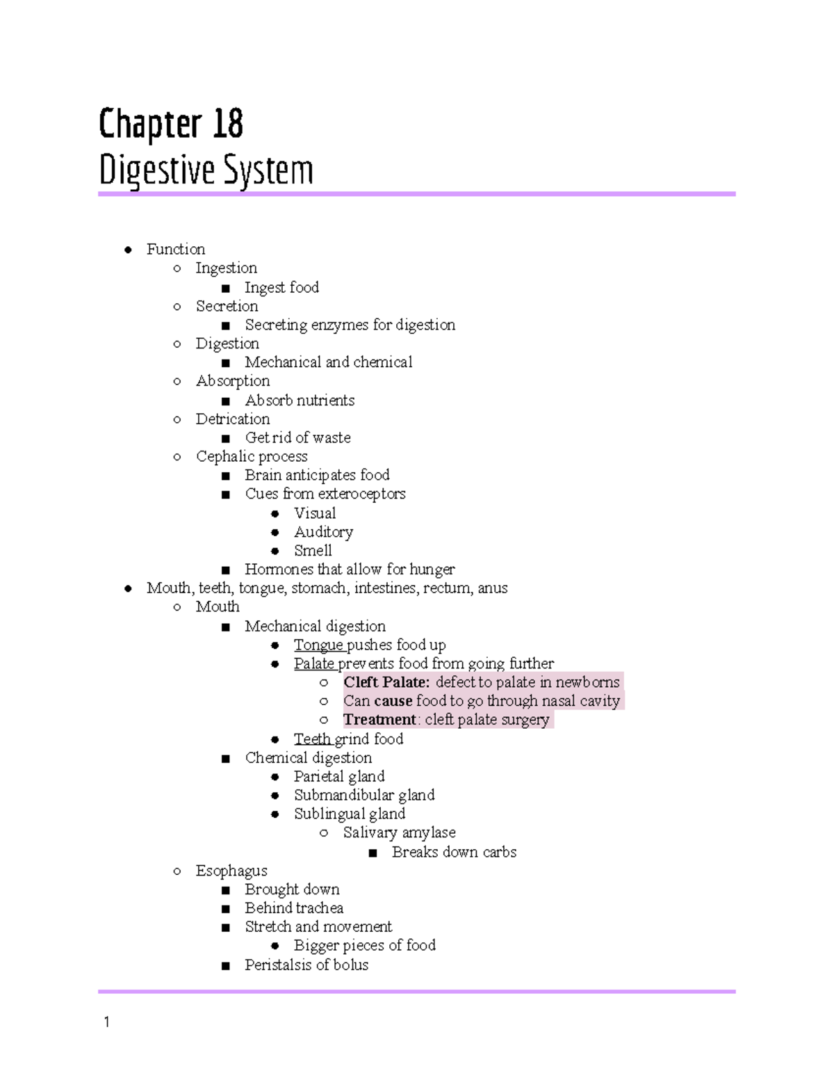 A P Chapter 18 Digestive System Chapter 18 Digestive System