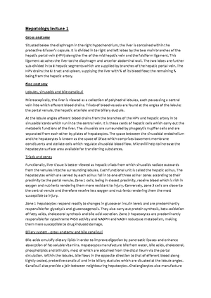 TDM care plan template - Therapeutic Drug Monitoring Workshop ...