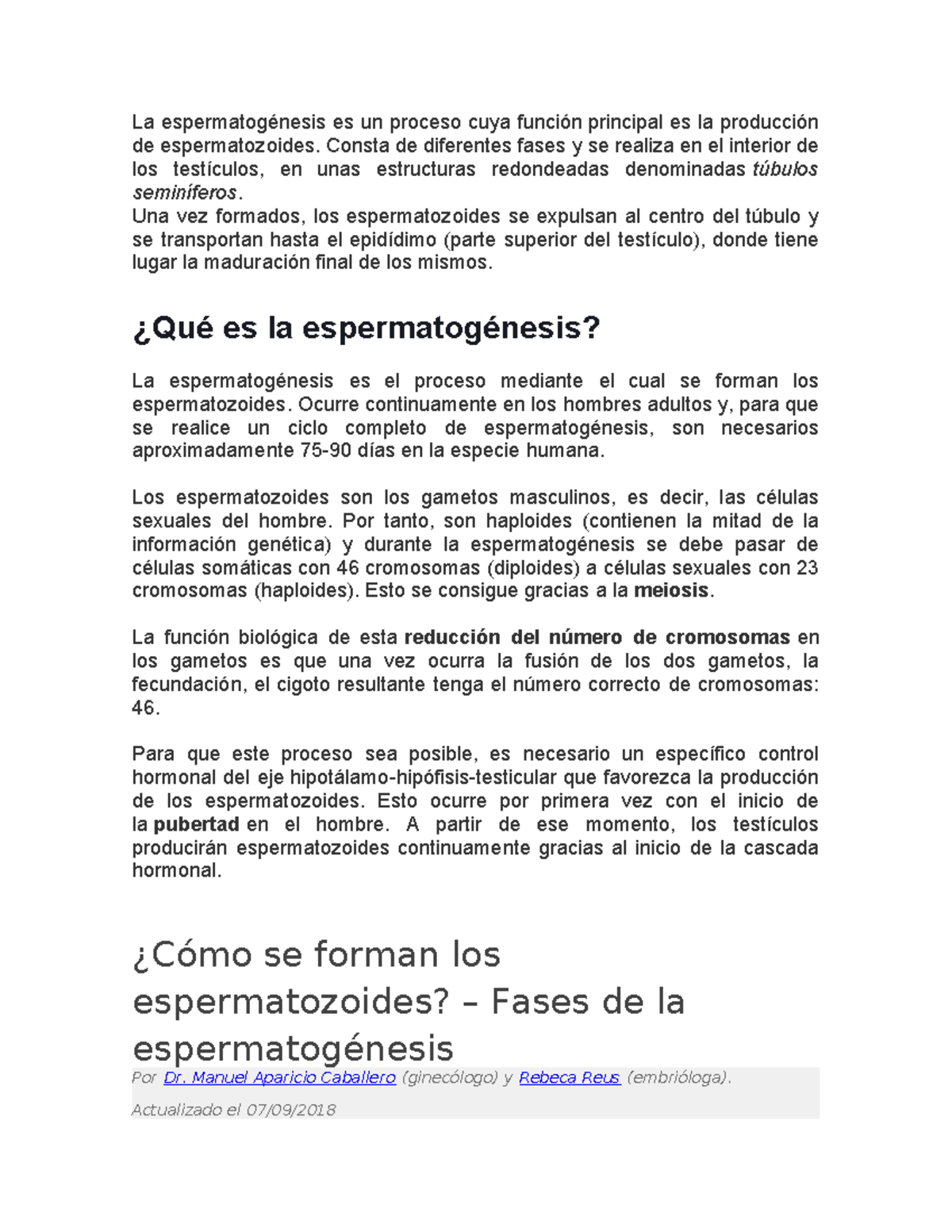 Espermatogénesis Fases