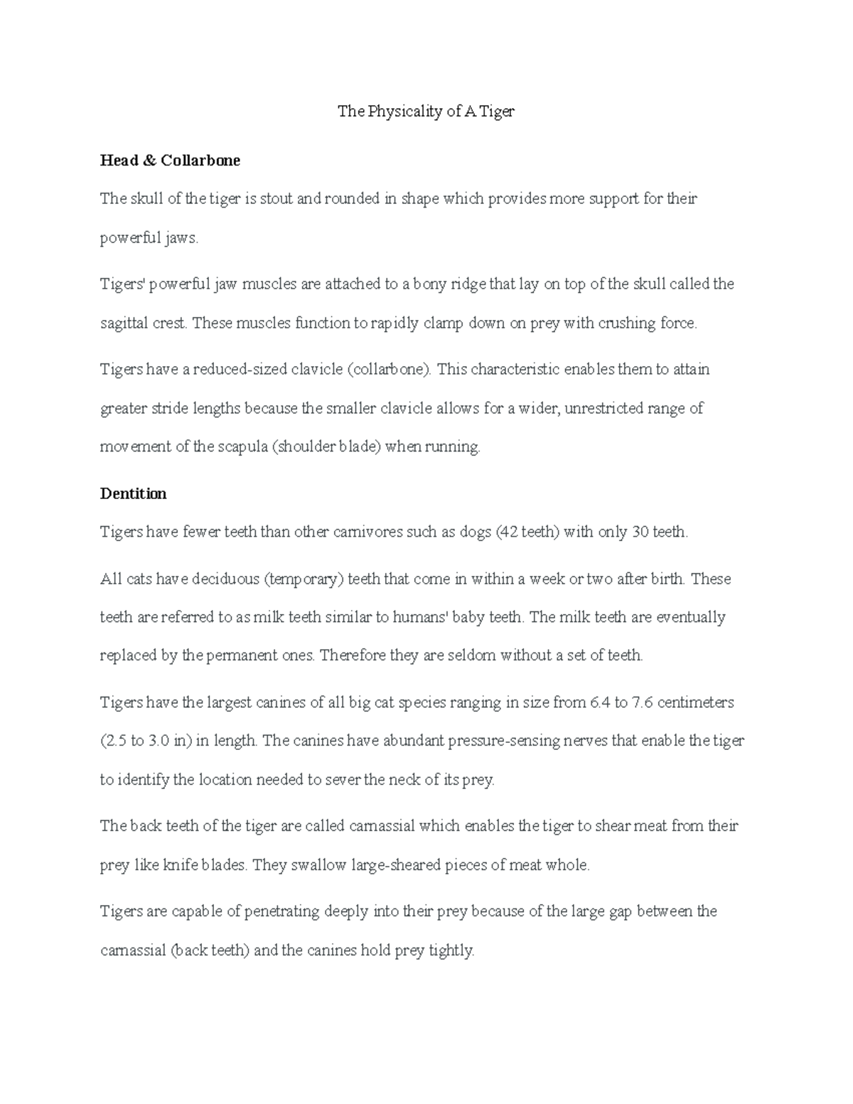 Tiger done - The Physicality of A Tiger Head & Collarbone The skull of ...