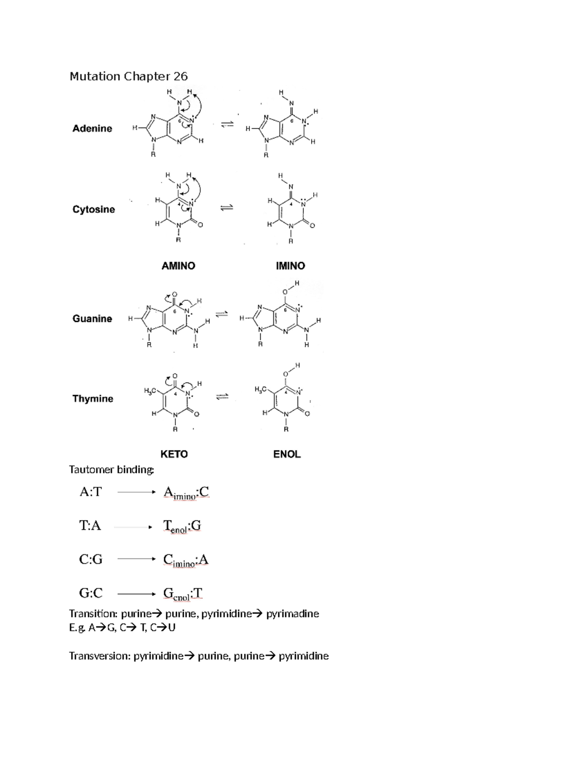 Exam 4 revision - Mutation Chapter 26 Tautomer binding: Transition ...